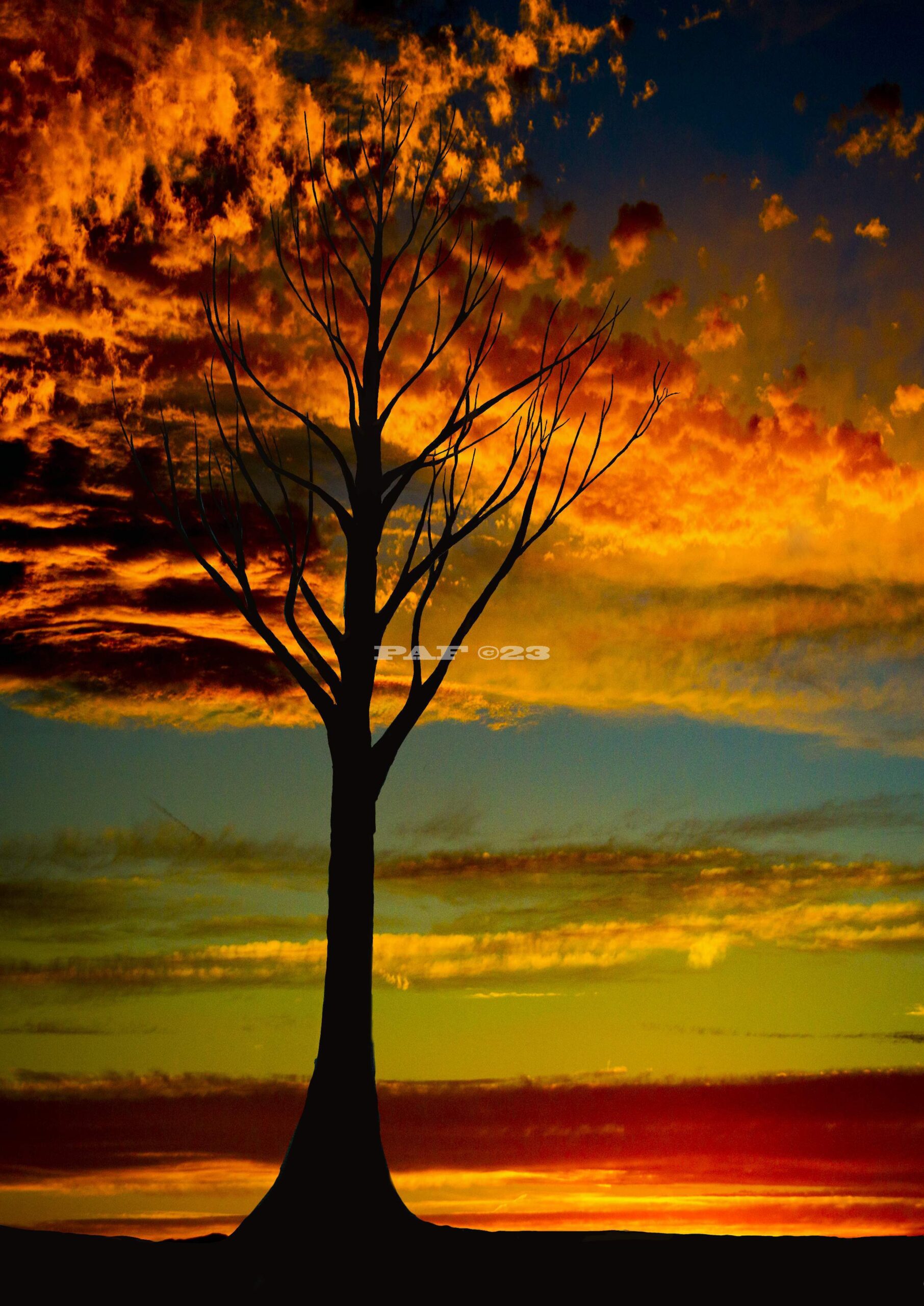 Midnight Tree v2 - Key West prints
